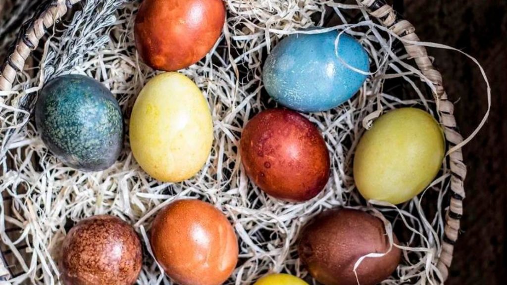 Programa de Trainee: saiba o que é e como funciona | Factorial